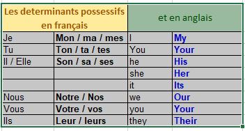 Les déterminants possessifs - Site de Mme SELME